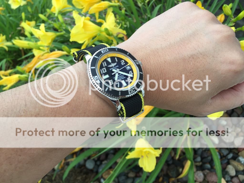 Black and Yellow watch ideas? | WatchUSeek Watch Forums