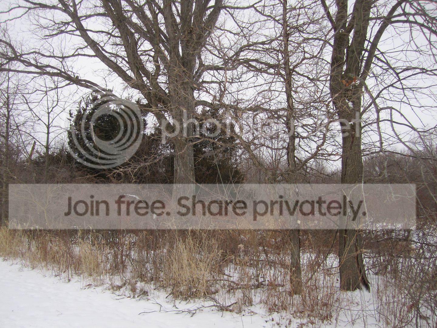 Myth of prevailing winds | Michigan Sportsman Forum